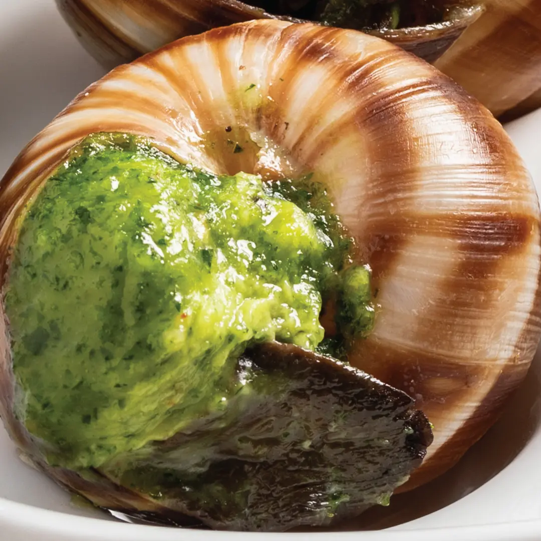 Escargots Can Helix Lucorum - White Toque